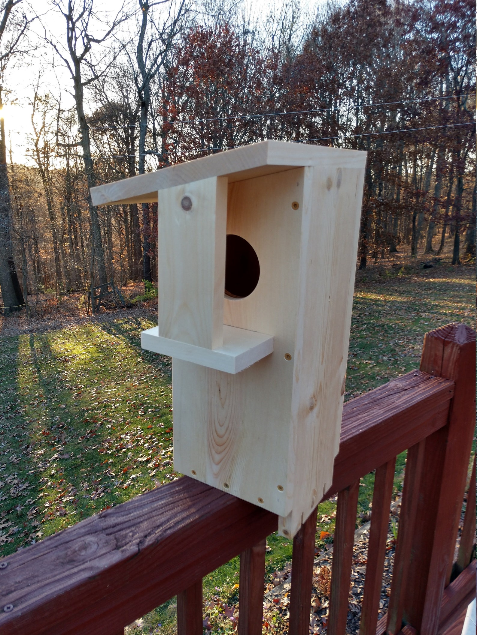 Squirrel Nesting Box With Predator Guard Easy To Mount Etsy
