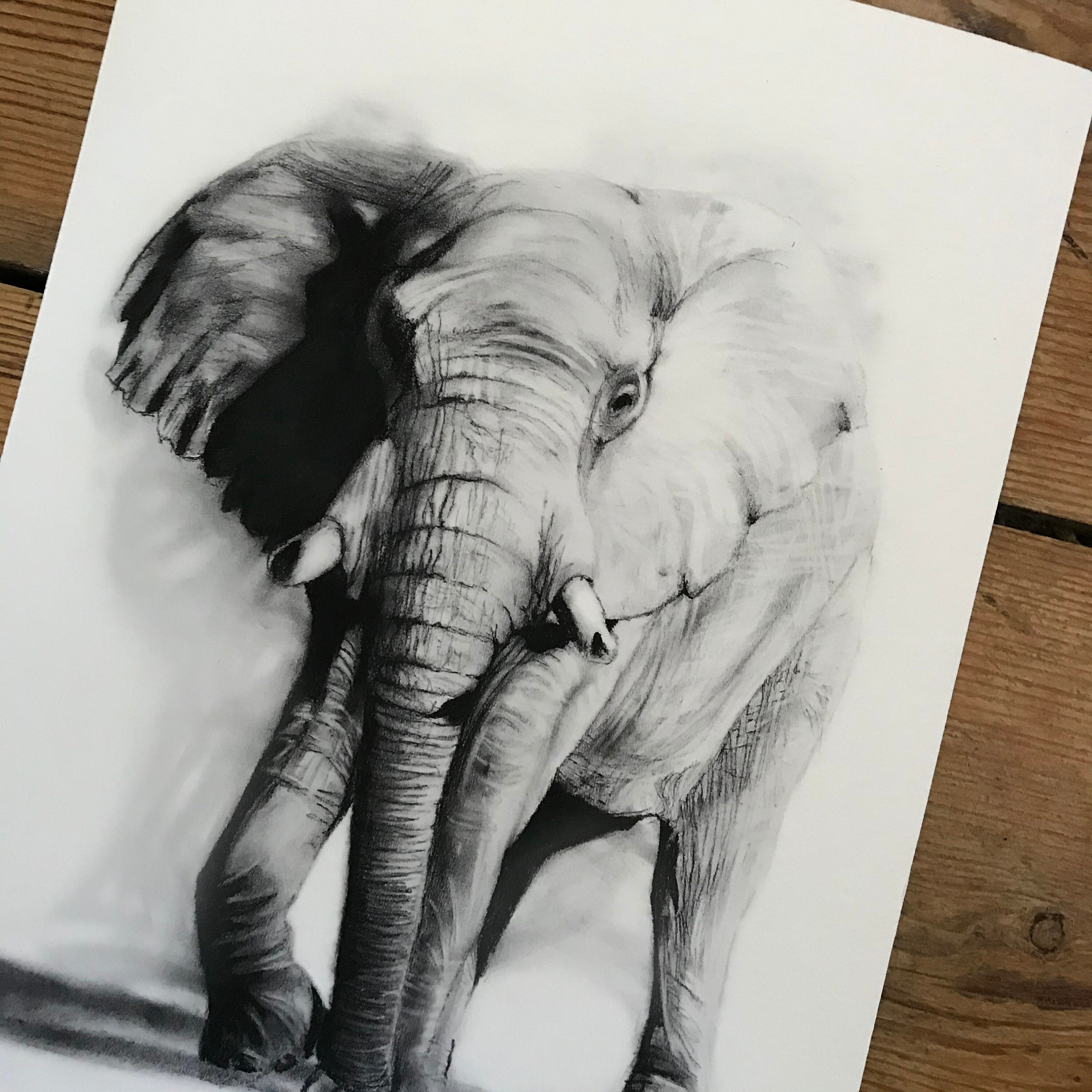 Elephant Charcoal Drawing Print, Original, Art, Gift, Present, Wildlife ...