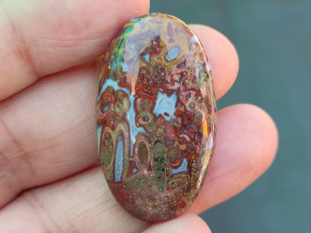 Rare Indonesian Red Petrified Palm Wood Cabochon, Red Petrified Palm ...