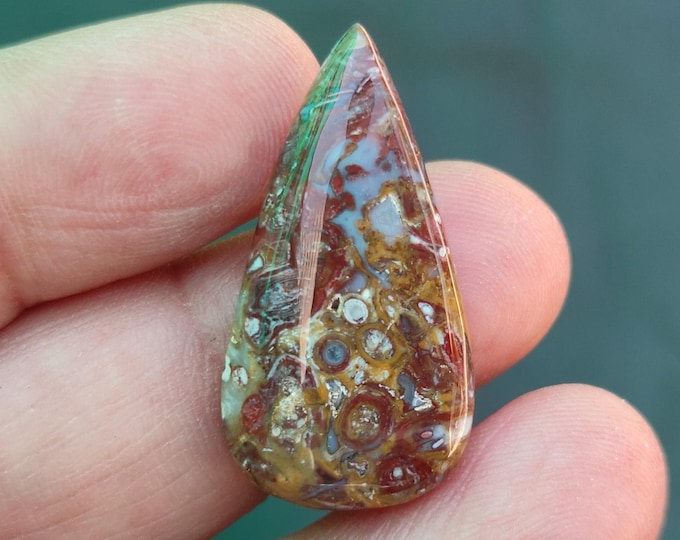 Rare Indonesian Red Petrified Palm Wood Cabochon, Red Petrified Palm ...