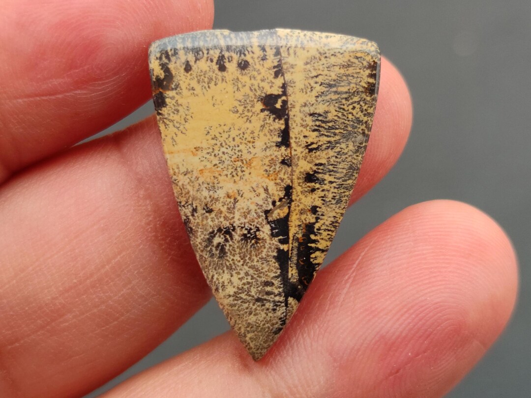 Rare Sagebrush Jasper Cabochon: Chinese Painting Stone, 15 Carats - Etsy