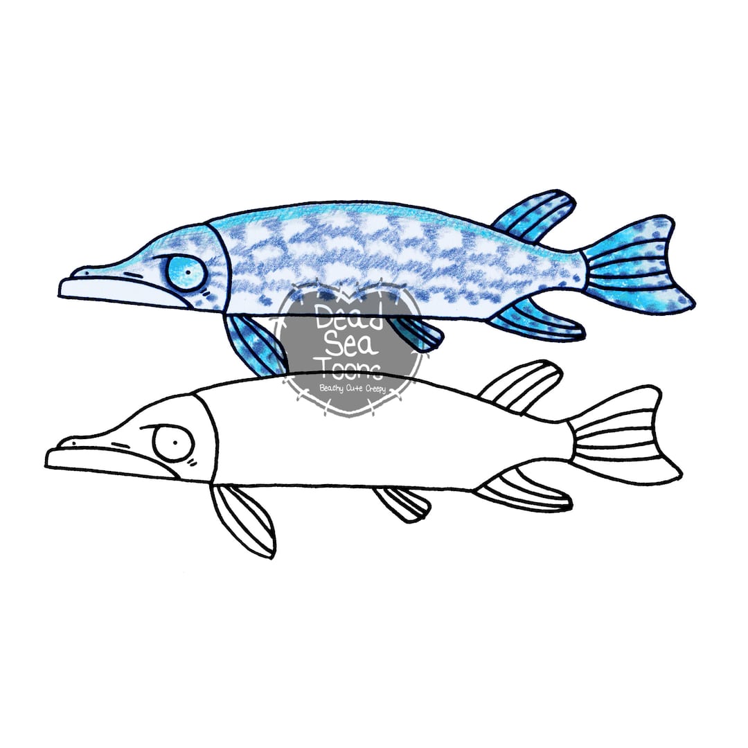 Instant Download Printable Digital Stamp DST Pike - Etsy