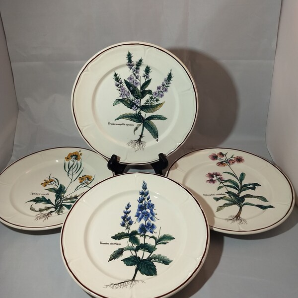 Botanical Plates - Etsy