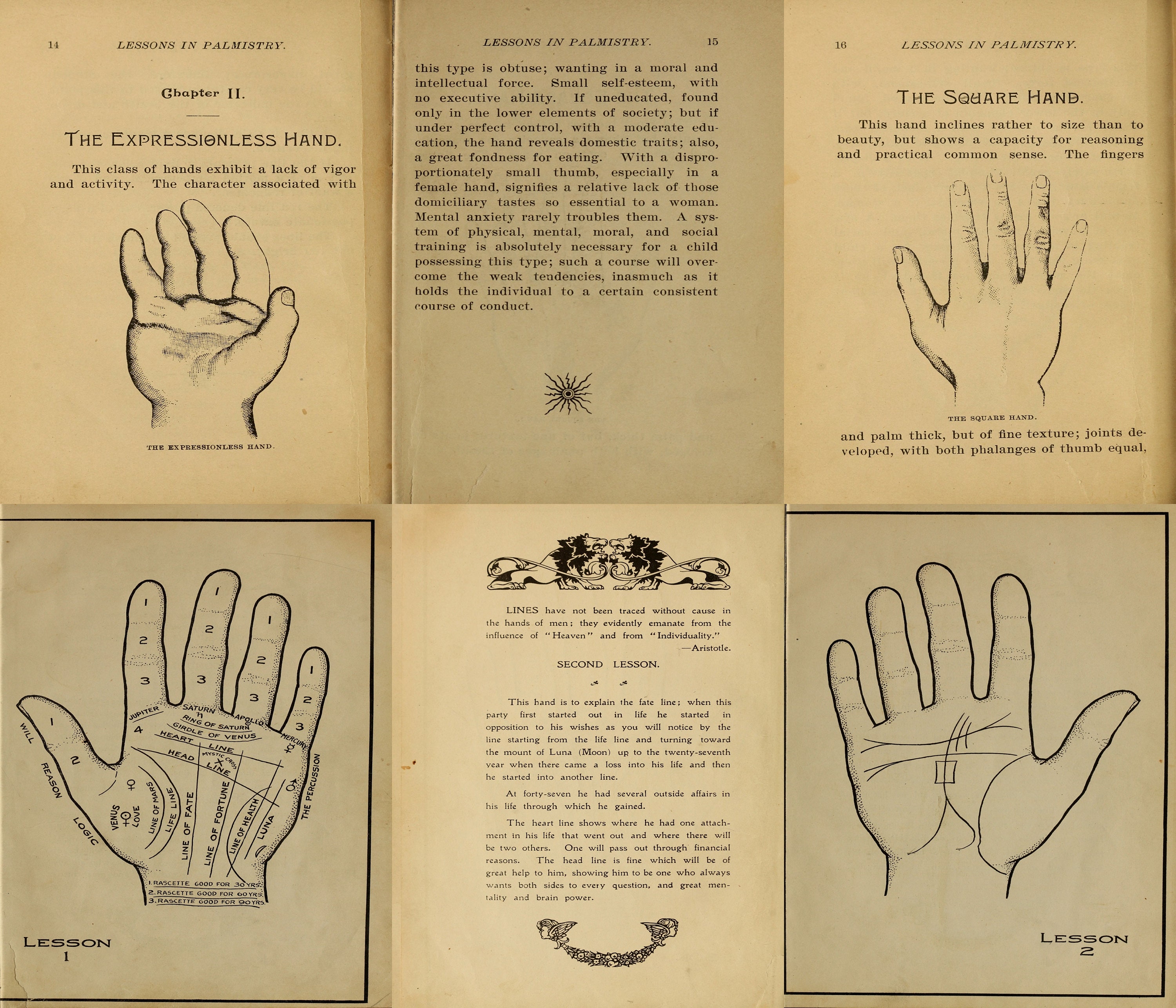 Palmistry Cheirosophy Chiromancy Hand Reading Perin's. - Etsy Ireland