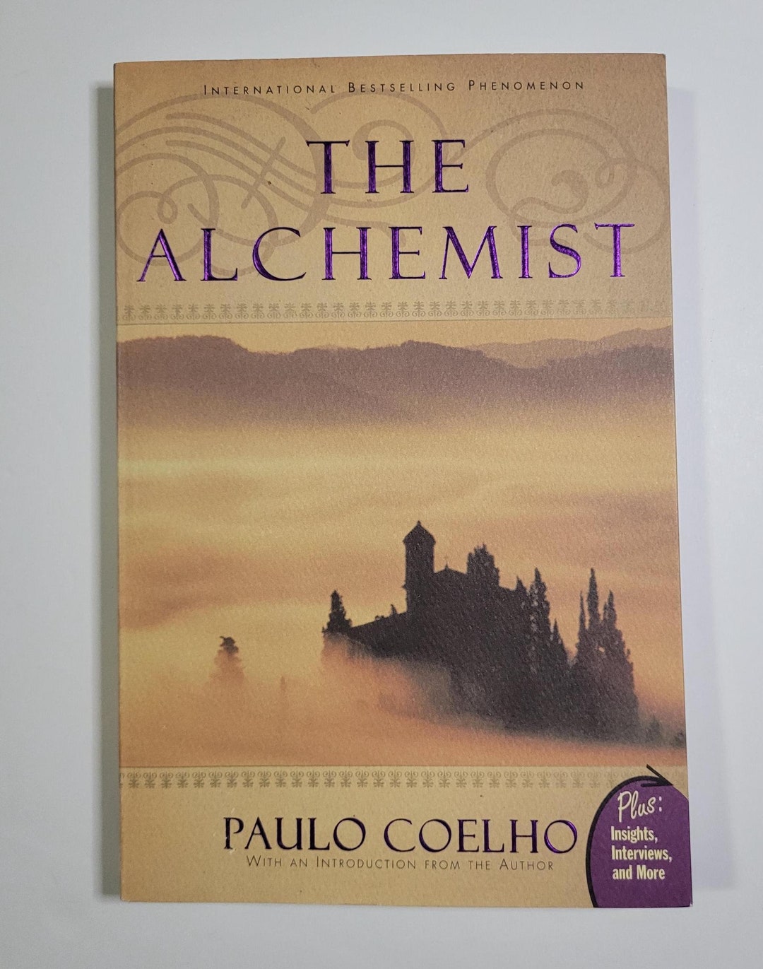 The Alchemist by Paulo Coelho Book Paperback - Etsy Canada
