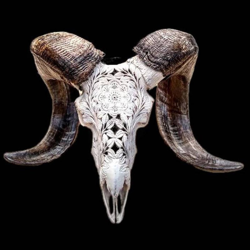 Ram Skull - Etsy