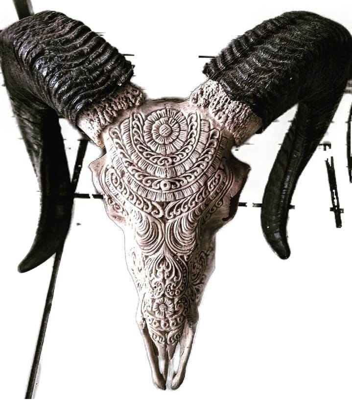 Real Carved Ram Skull - Etsy