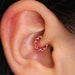 Split Double Daith Hoop Ring Earring, 18,16ga, 8,10,12mm, Unisex, G23 ...