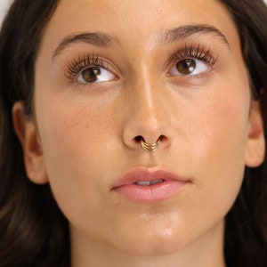 Solid Triple Clicker Hoop, Nose Ring, Septum Hoop, Hoop Earring, 16G ...