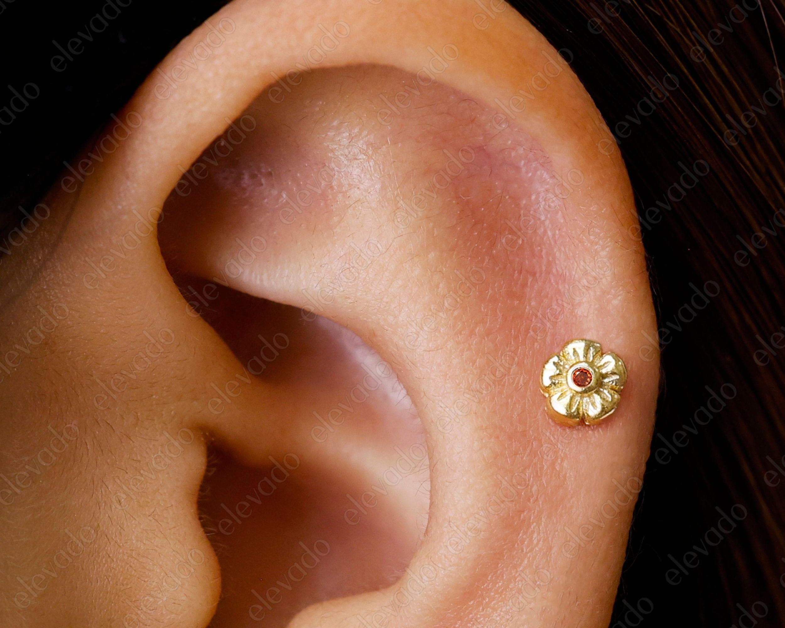 Garnet Daisy Flower Cartilage Stud • 18G/16G Gold Helix Earring - Etsy