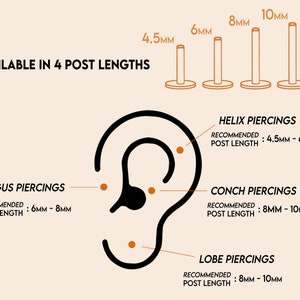 18G/16G Gunmetal Black Star Flat Back Labret Tragus Stud Helix Piercing Cartilage Earring ...