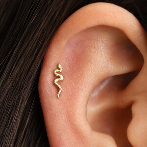 18G/16G Tiny Snake Cartilage Gold Stud Earrings • Tragus • Snake Conch ...