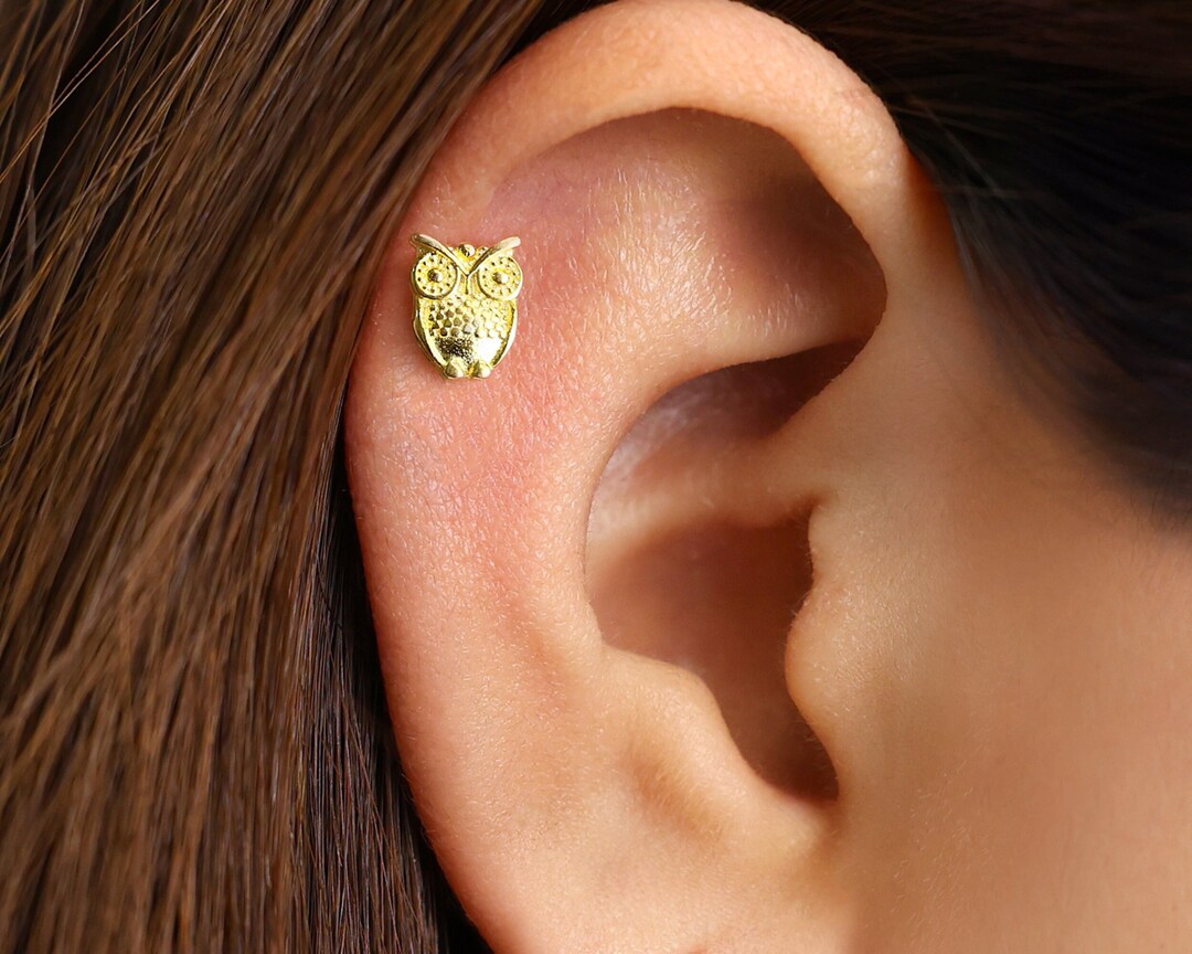 18G Owl Cartilage Flat Back Labret Stud • Cartilage Earring • Helix Piercing • Tragus Stud - Etsy