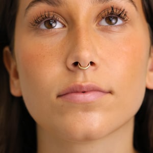 Paved Double Hoop Septum Ring, Nose Ring, Conch Hoop, Hoop Earring, 16G ...