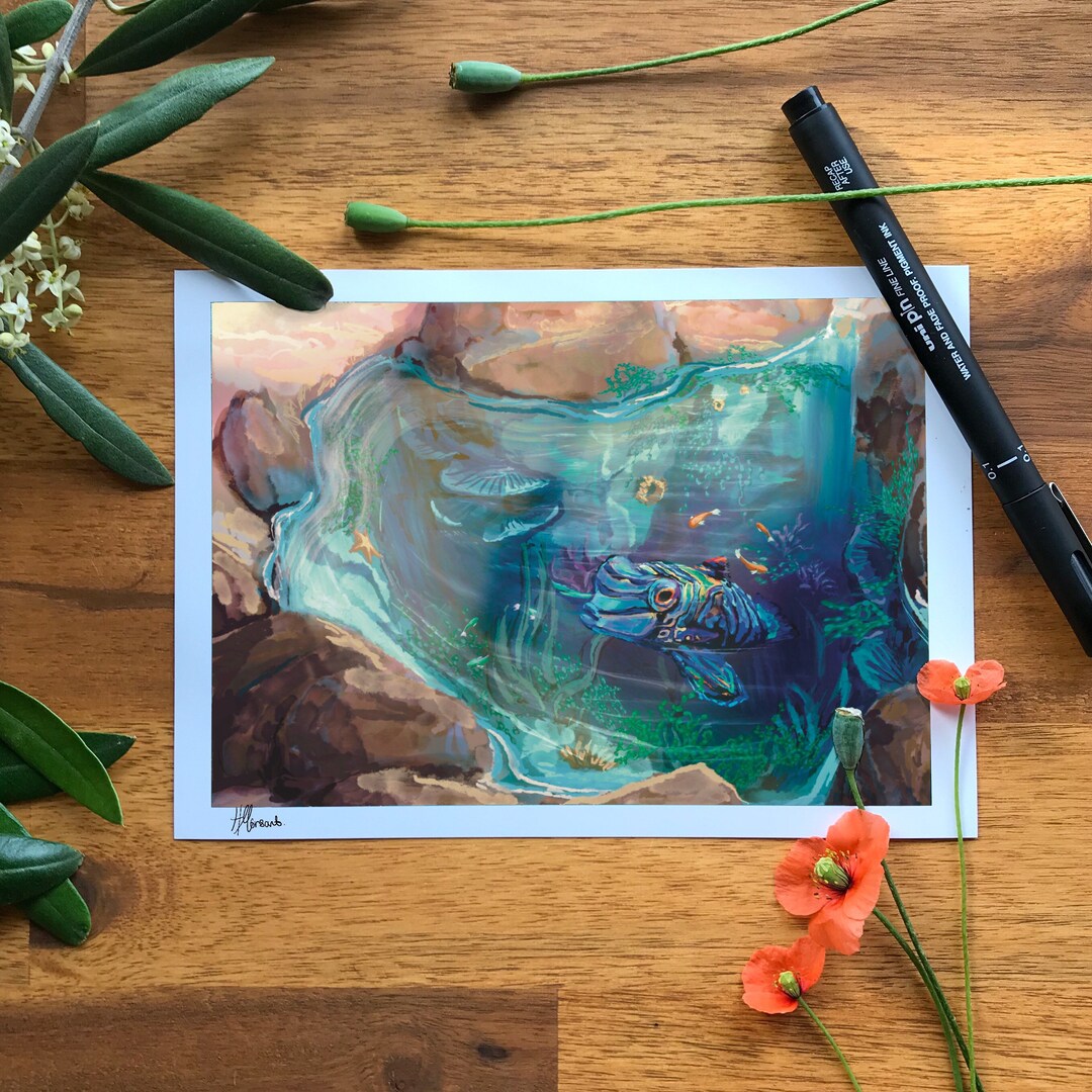Dragonet Mini Print Mandarin Goby Rockpool Art Print, Sealife Fantasy ...