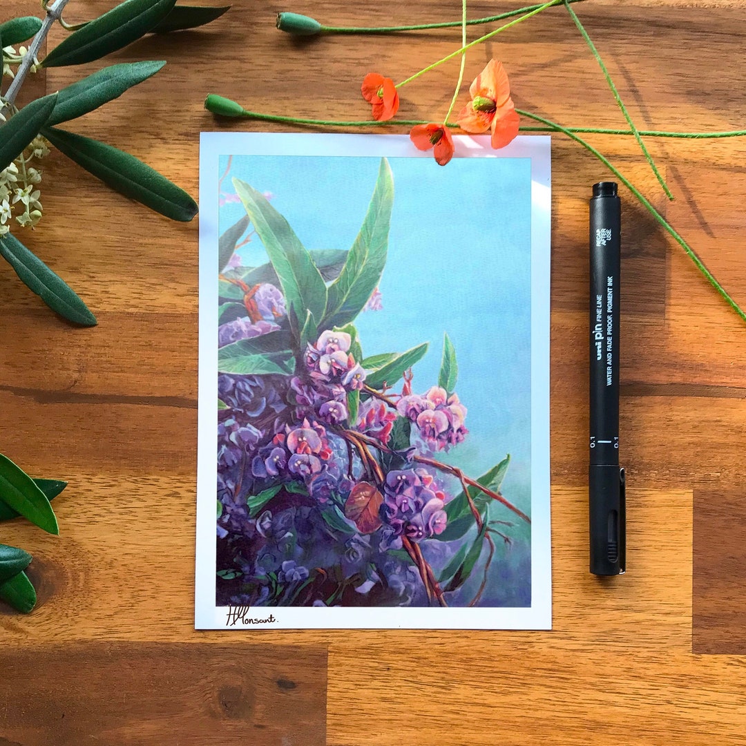Hardenbergia Mini Print: Native Lilac, Happy Wanderer, Native Wisteria ...