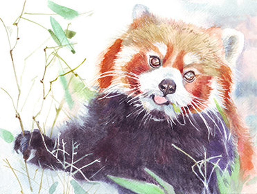Red Panda Watercolor Painting Hand Painted Art Original - Etsy