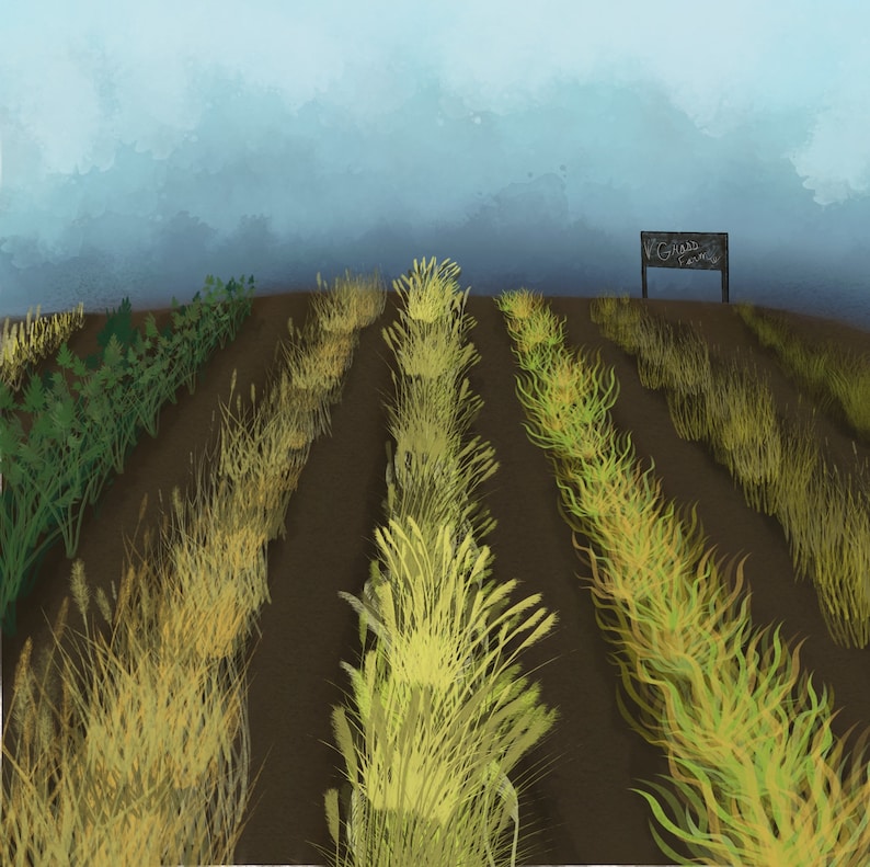 Procreate Grass Brush Set 12 Brushes Digital Download Etsy procreate-grass-brush-set-12-brushes-digital-download-etsy