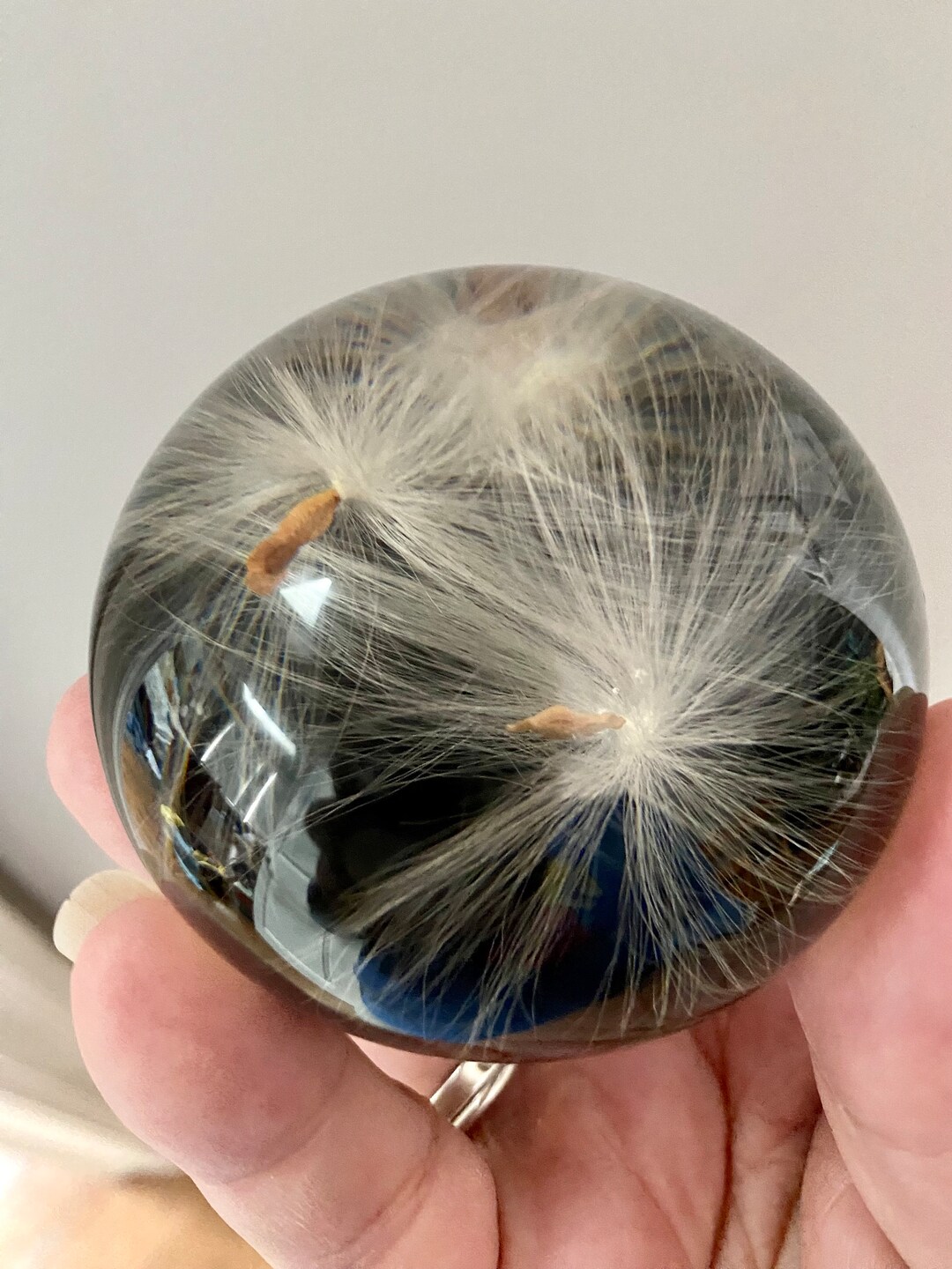 Lucite Paperweight, Milkweed Fluff/floss, Made in Canada, Canadian ...