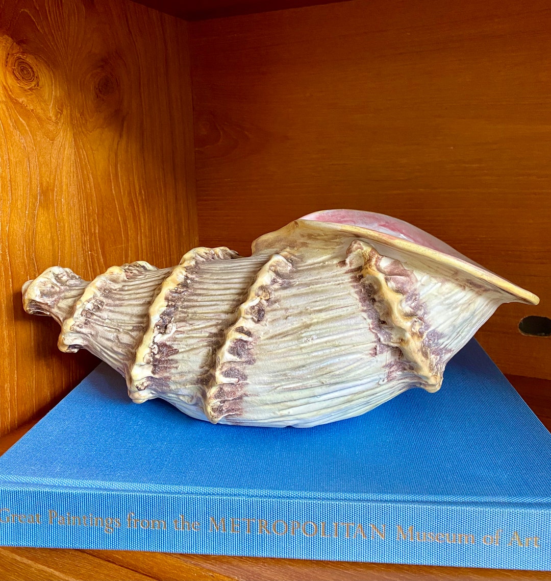 Mid 20th Century Italian Ceramic Shell Cachepot, Italy, Italian ...