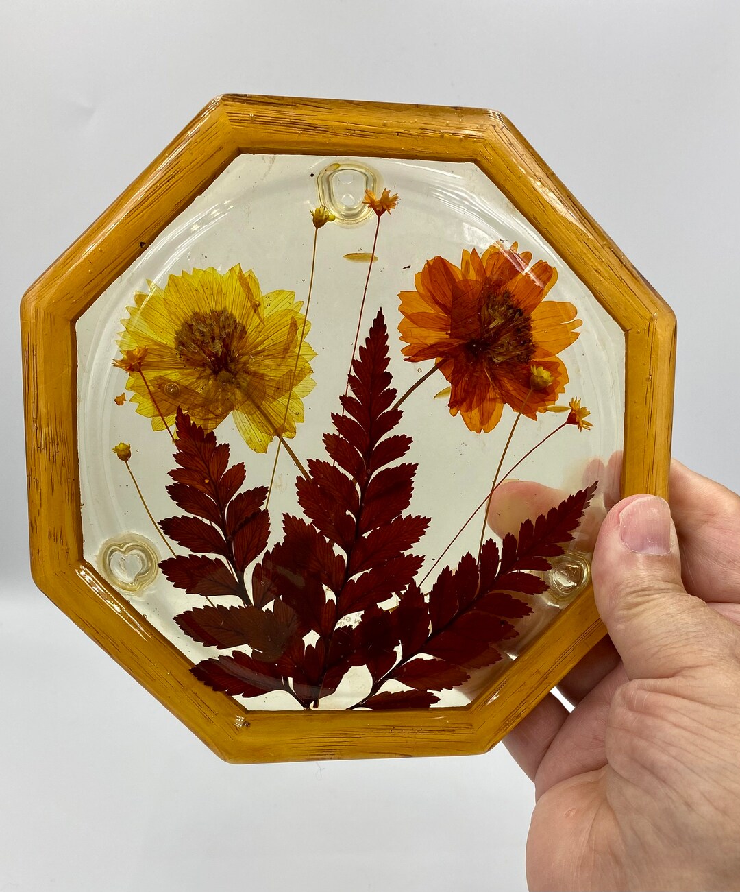 Vintage Lucite Trivet With Pressed Flowers, 1970s Kitchen Decor - Etsy