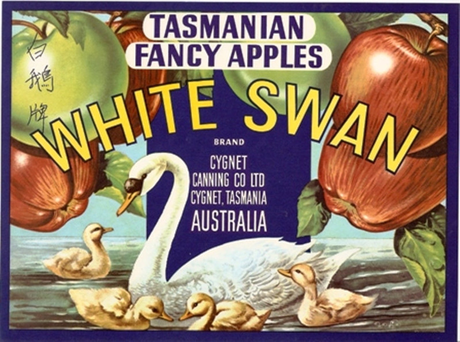 Vintage Tasmanian Apple Box Labels - Etsy