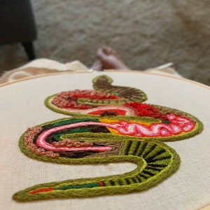 Hand Embroidered Snake Anatomy W/ Hoop - Etsy