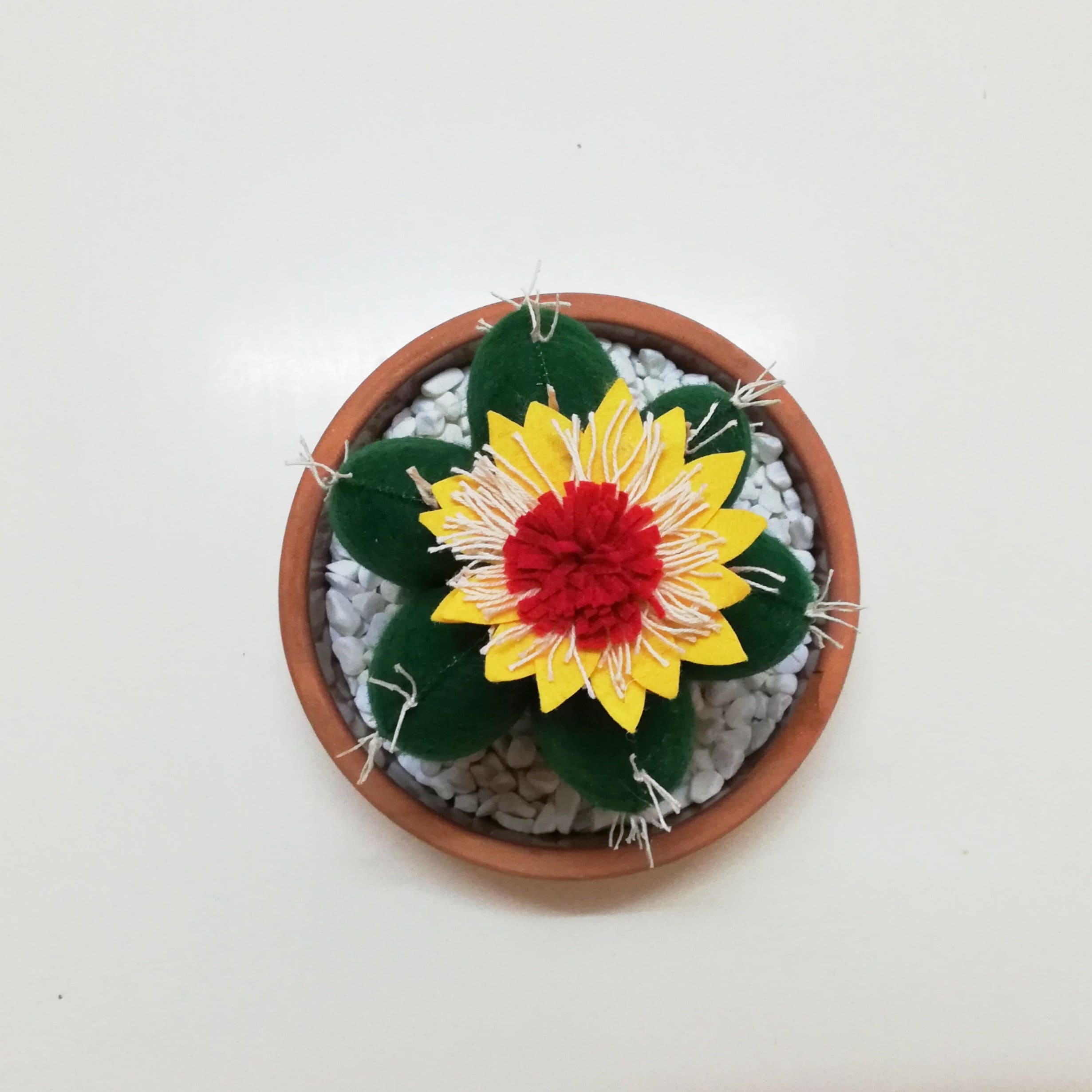 Felt Succulent Cactus Sewing Pattern: Retro Home Decor (PDF Pattern) - Etsy