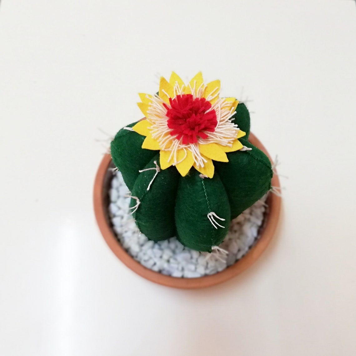 Felt Succulent Cactus Sewing Pattern: Retro Home Decor (PDF Pattern) - Etsy