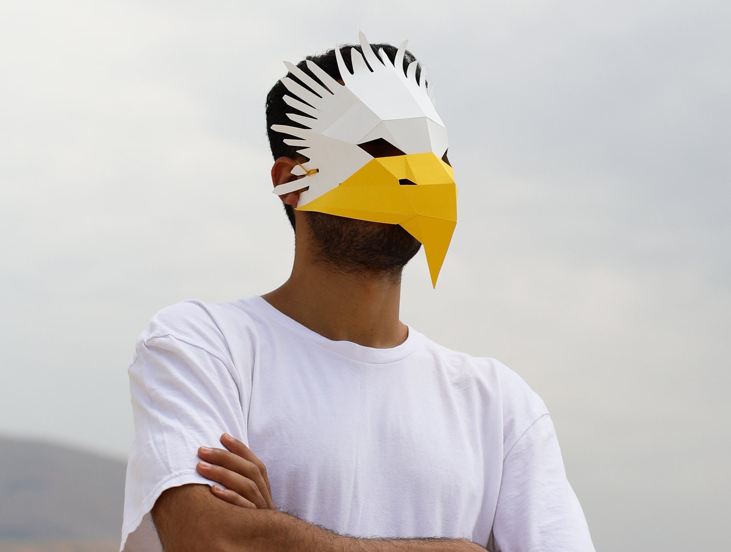 DIY Low Poly Eagle Mask, Eagle Mask, Papercraft Template, 3D Low Poly ...