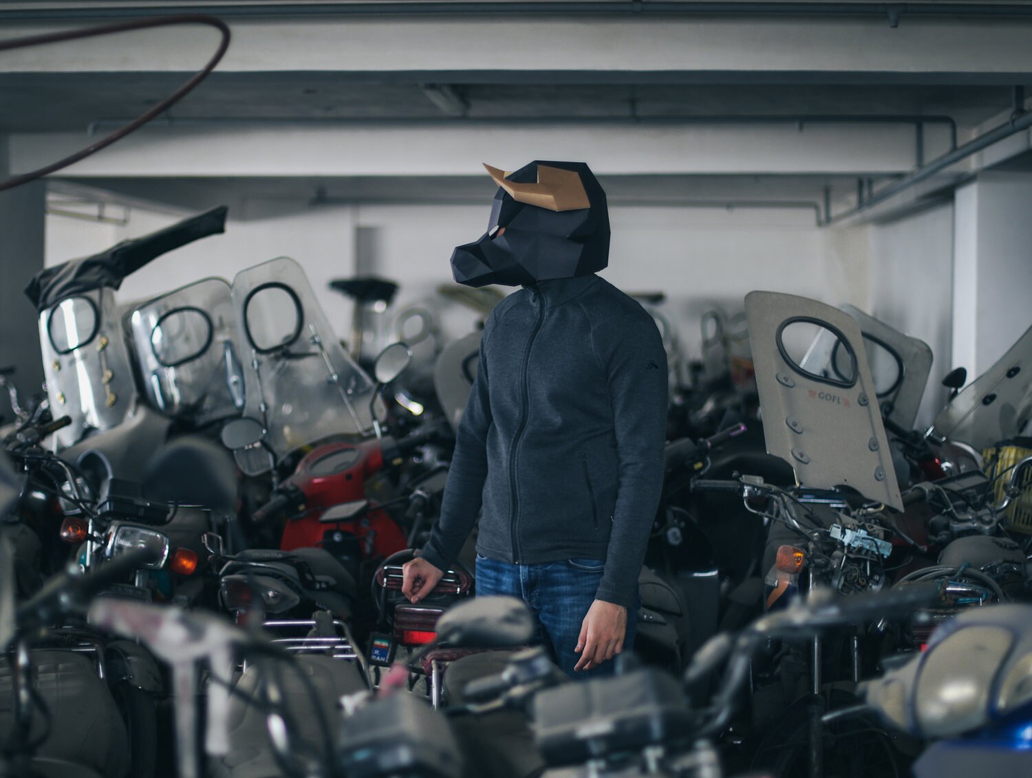 DIY Low Poly Bull Mask Low Poly Red Bull Maskdiy Printable - Etsy Canada