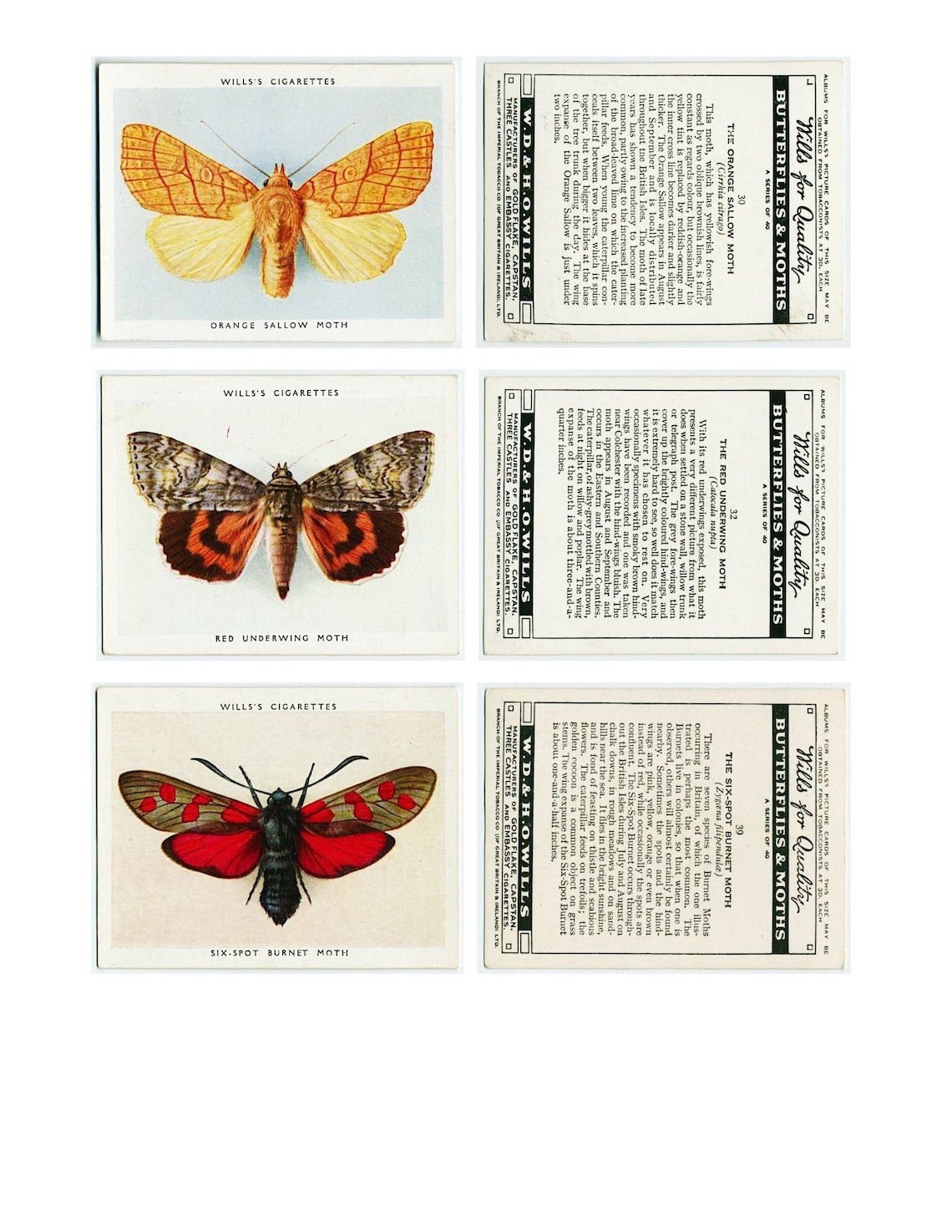 Butterfly & Moth Digital Download Will's Cigarette Cards - Etsy