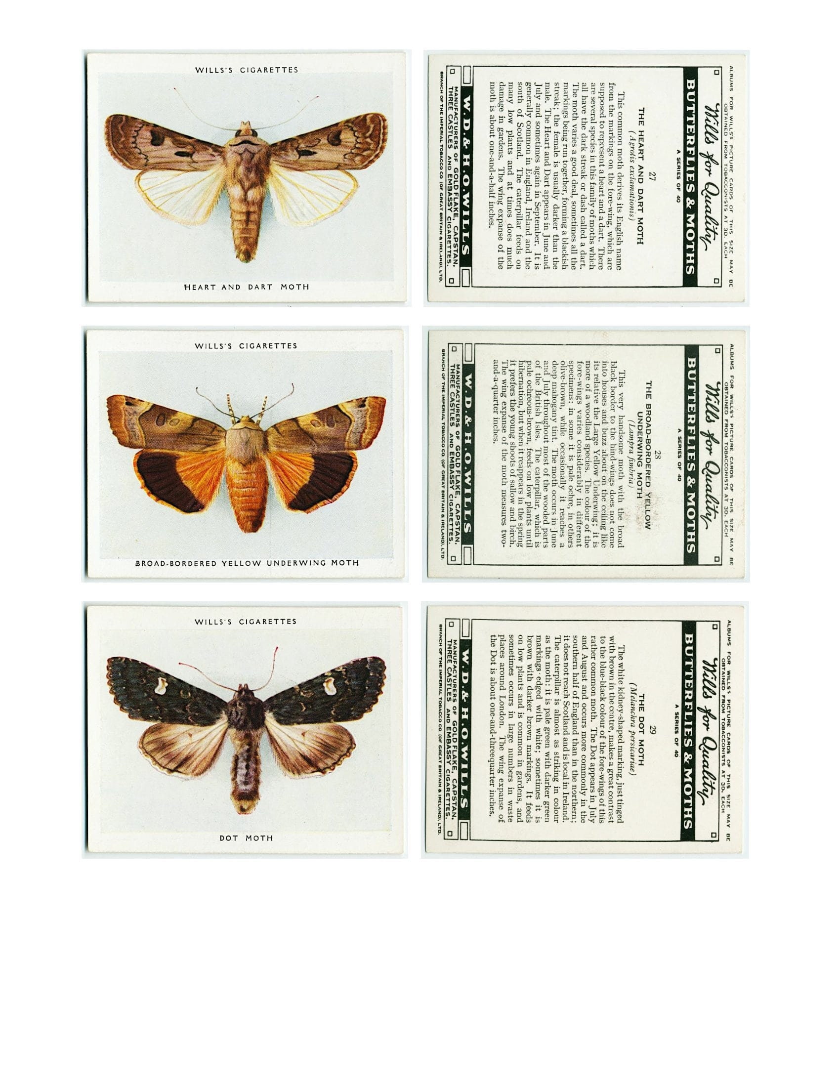 Butterfly & Moth Digital Download Will's Cigarette Cards - Etsy