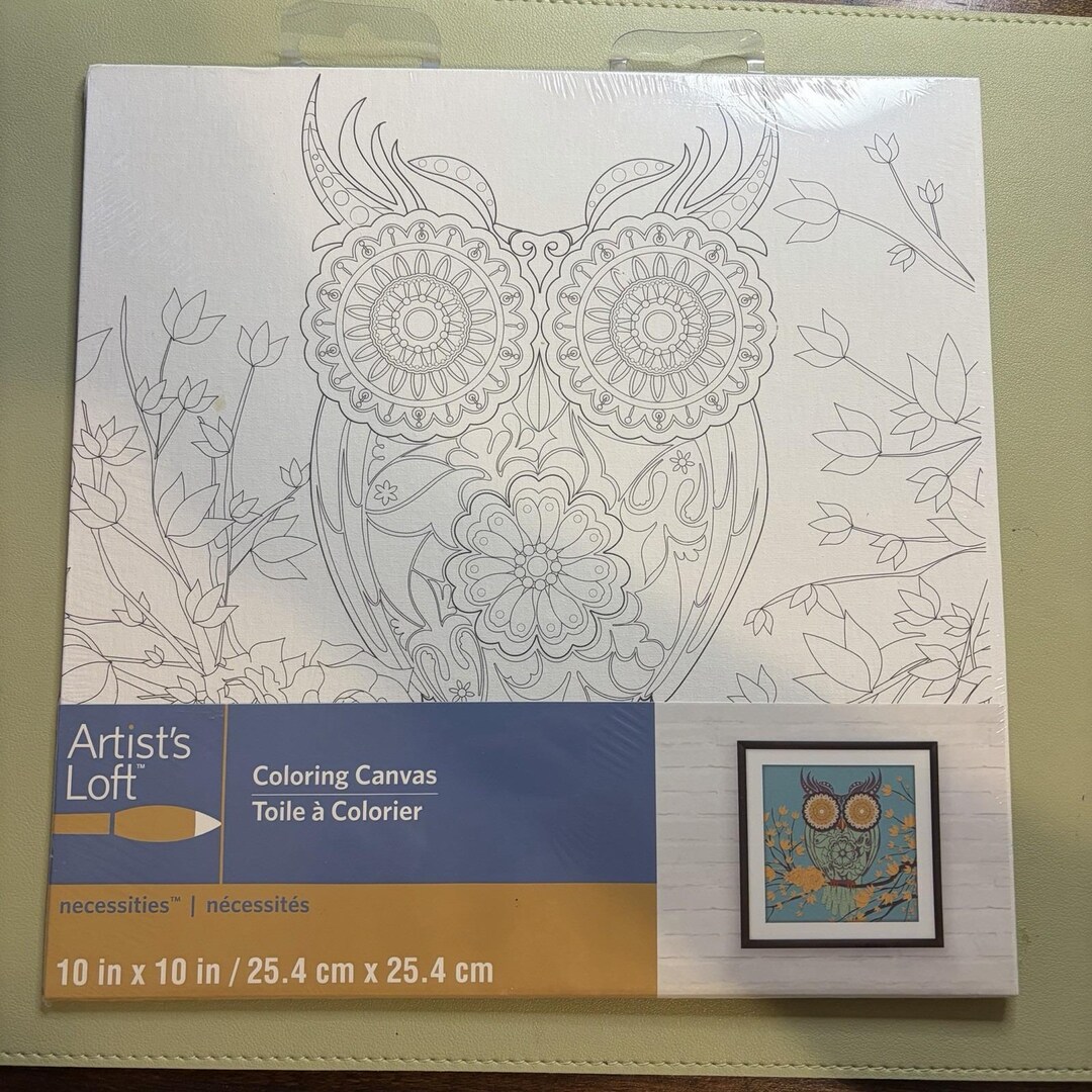Artist's Loft Coloring Canvas Owl Print 10x10 Ready to Color or Paint ...