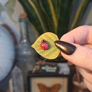Realistic Ladybug Pin Badge. Mini Resin Ladybird Brooch. Fairycore ...