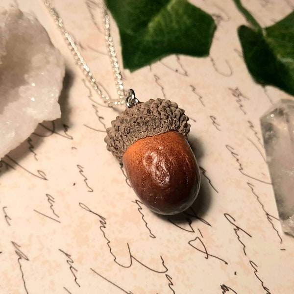 Real Acorns - Etsy UK