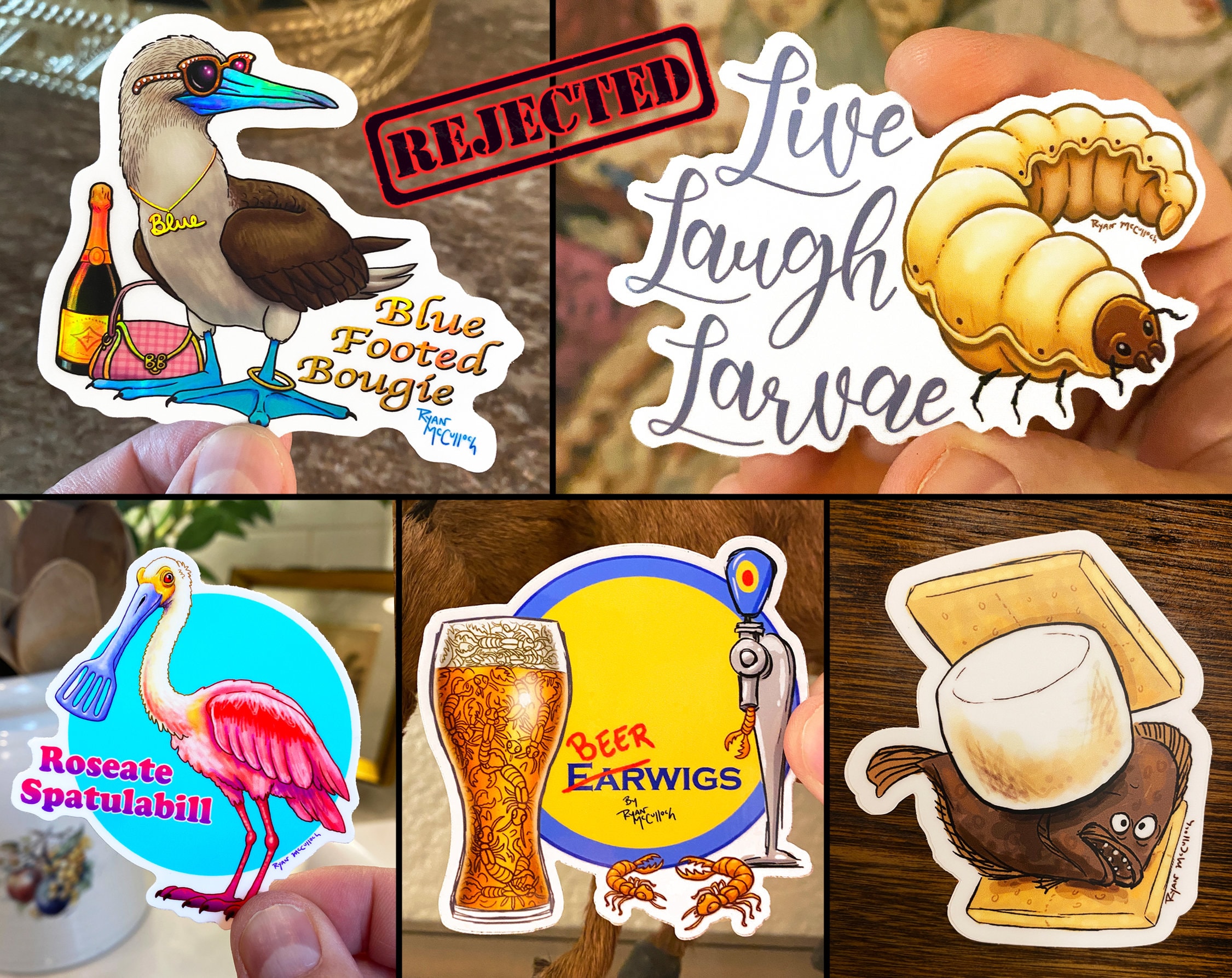 REJECTED STICKERS 5-PACK: Cheesiest Vinyl & Holographic | Etsy