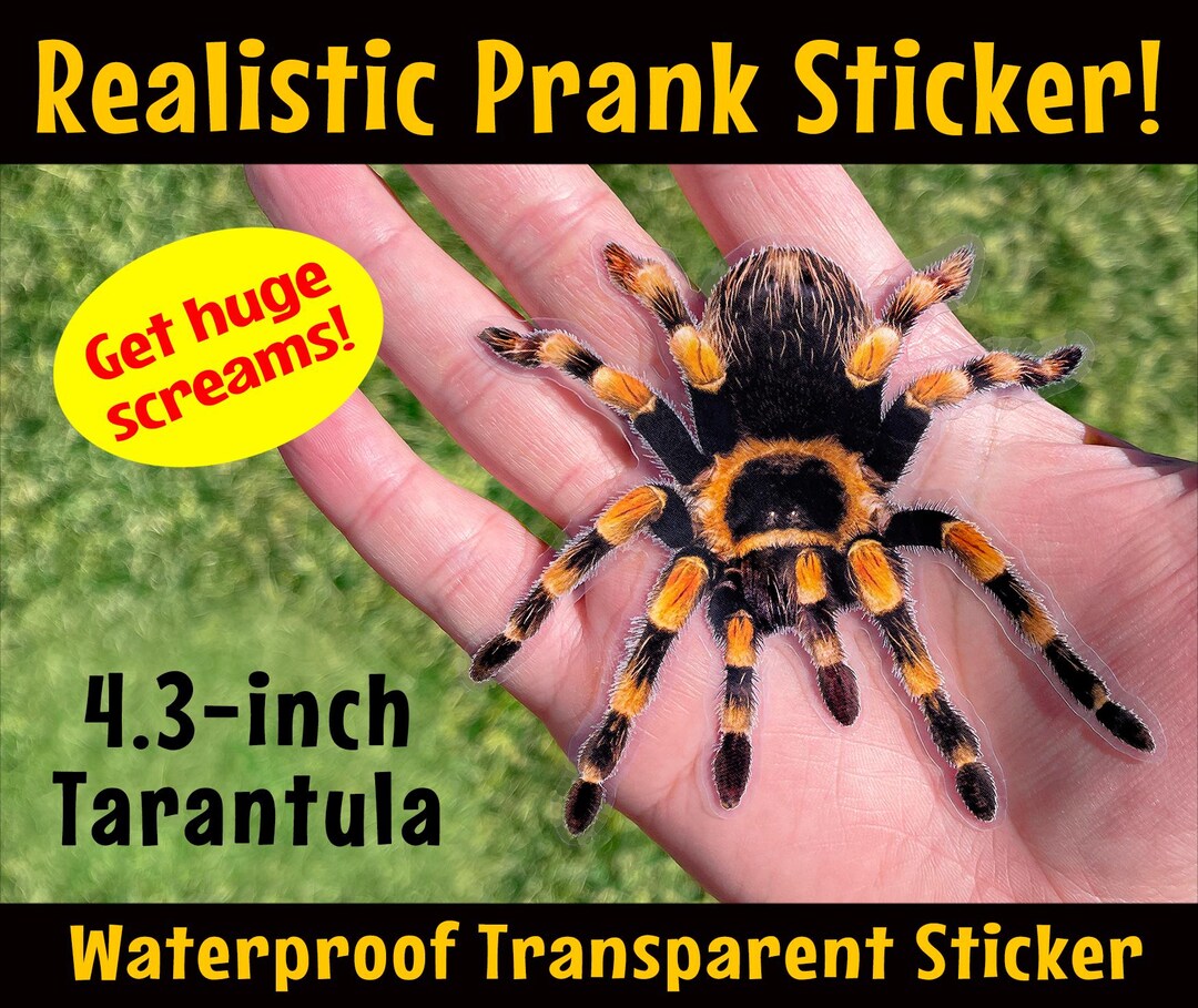 PRANK STICKERS! Tarantula Spider Clear Sticker! REALISTIC! Practical ...