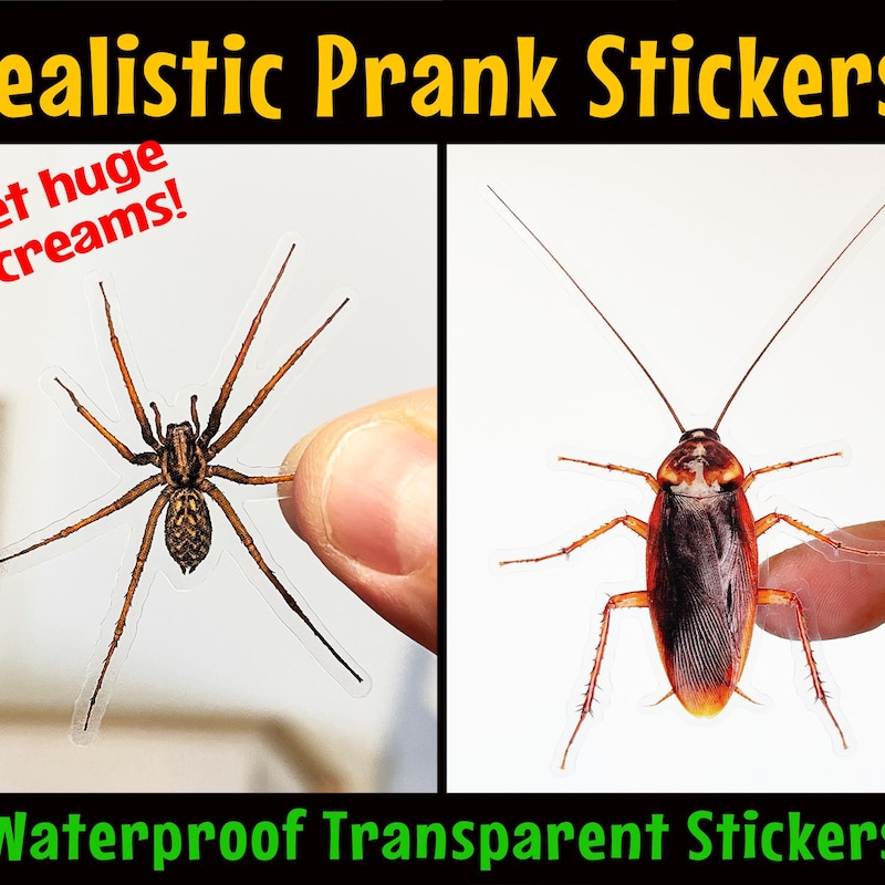 Realistic Fake Bugs - Etsy