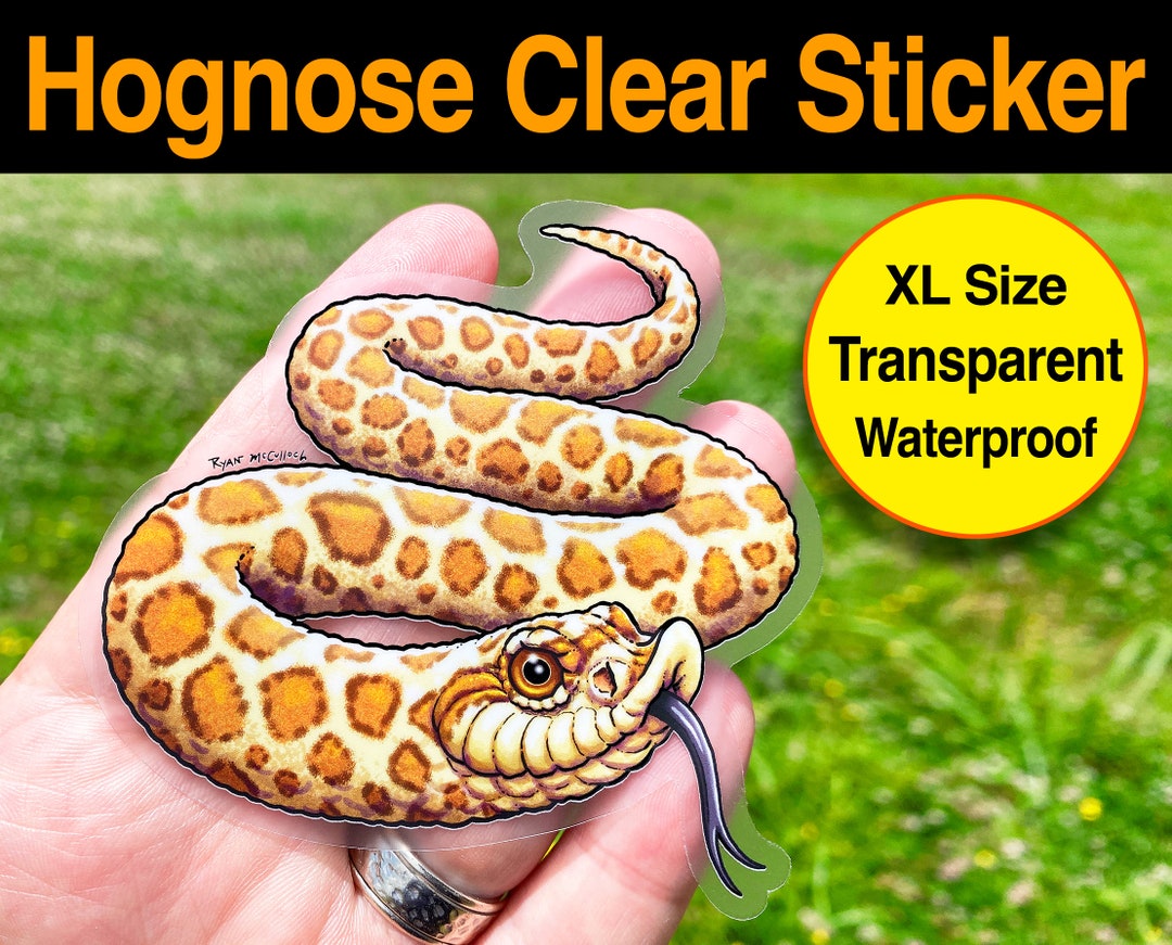 HOGNOSE SNAKE Transparent Sticker! Large Waterproof Sticker of Cute ...