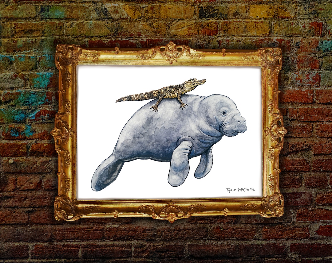 Signed Art Print: "florida Hitchhike" Alligator Riding on the Back of A ...