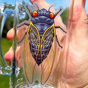 2 Cicada Stickers Cicadas 2024 the Year of the Cicada Cicada Art Transparent Stickers, Clear ...