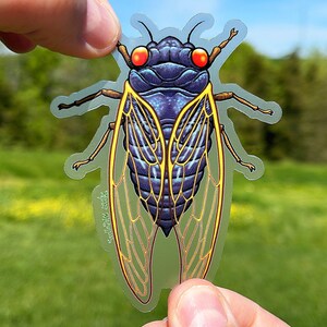 2 Cicada Stickers Cicadas 2024 the Year of the Cicada Cicada Art Transparent Stickers, Clear ...