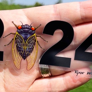 2 Cicada Stickers Cicadas 2024 the Year of the Cicada Cicada Art Transparent Stickers, Clear ...