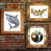Signed Print: "sashimi Manatee" Sushi Manatee Painting, Food Animal ...