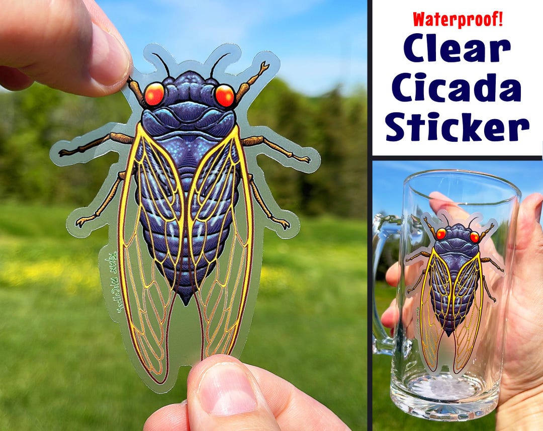 Cicada Sticker! Cicadas 2024! the Year of the Cicada! Cicada Art! Transparent Stickers, Clear ...