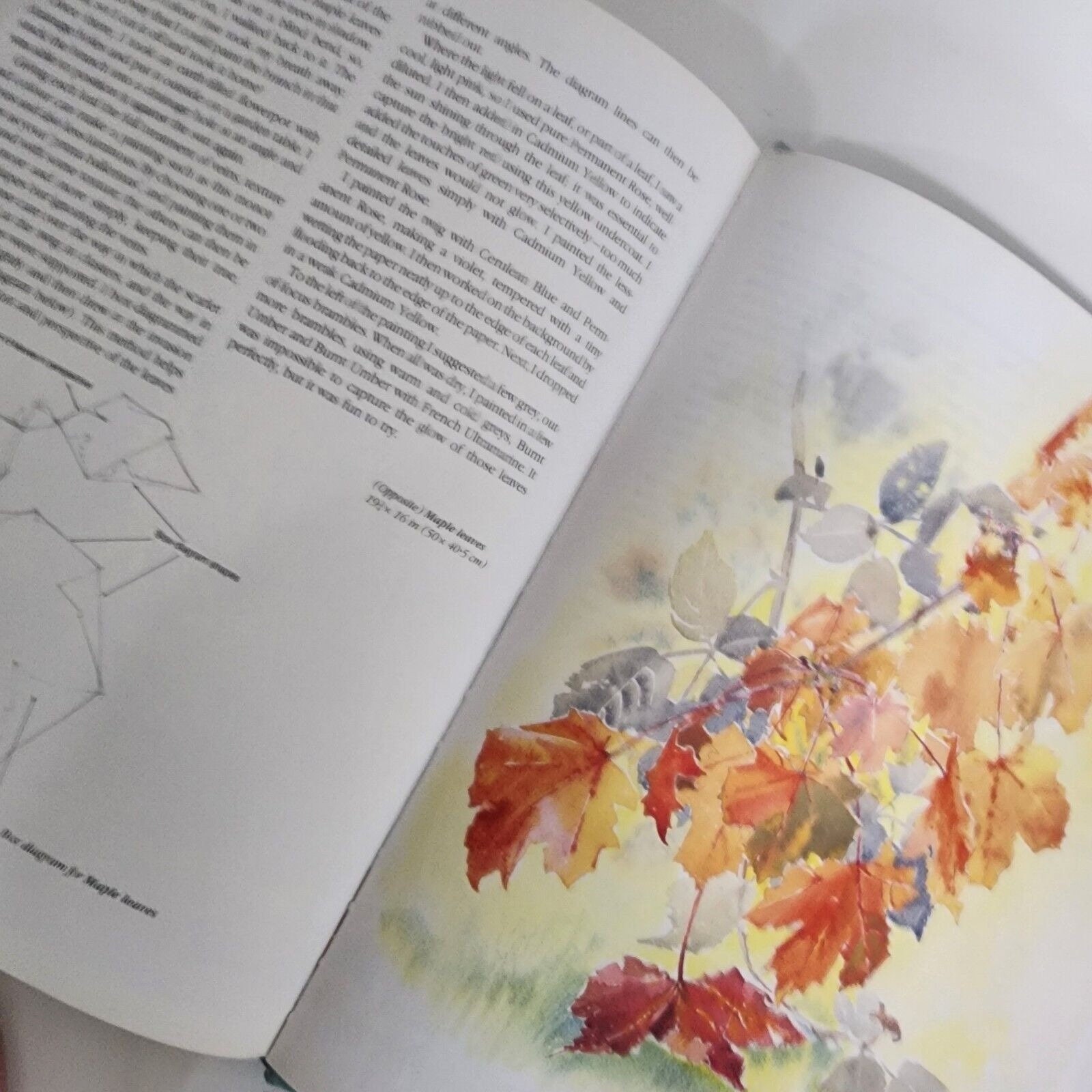 Painting the Colors of Nature A Watercolorist's Guide by Karen Simmons ...