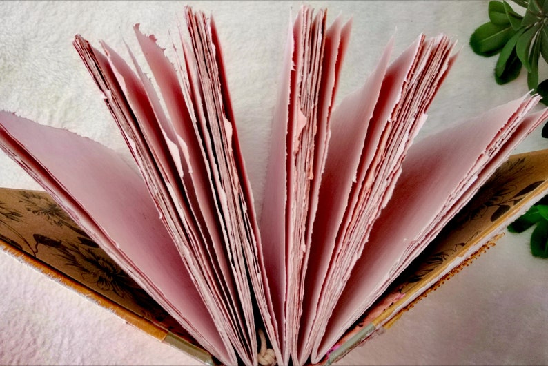 Blank Girly Diary With Avocado Paper for Journaling - Etsy