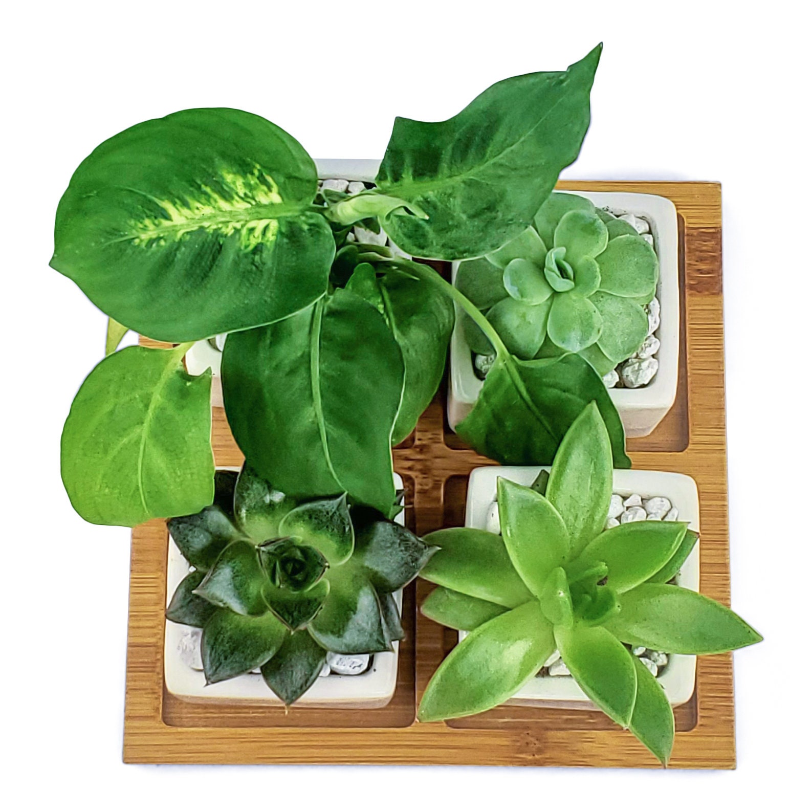 4 Ceramic Pots With Bamboo Tray Square Pots Flower Pots | Etsy