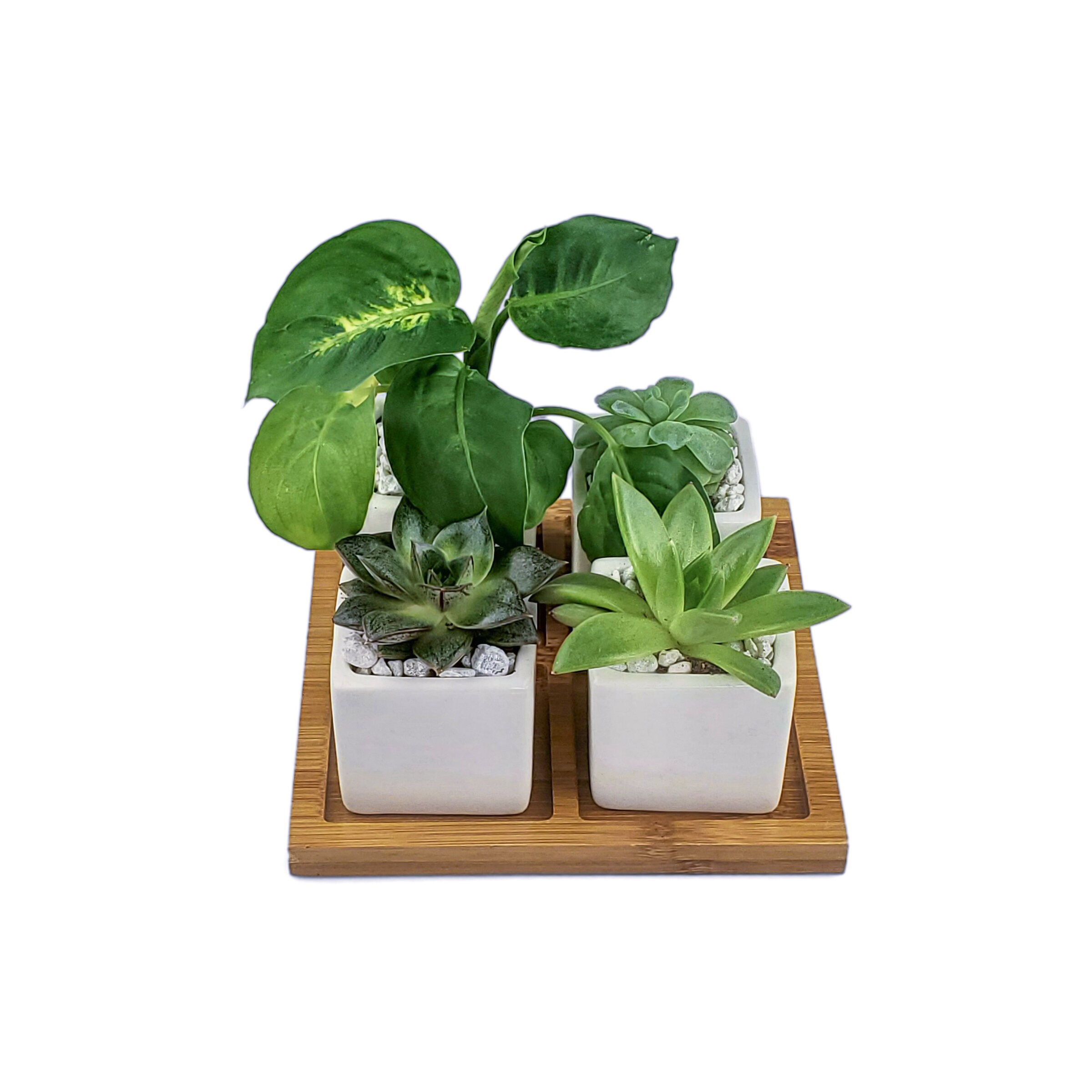 4 Ceramic Pots With Bamboo Tray Square Pots Flower Pots | Etsy